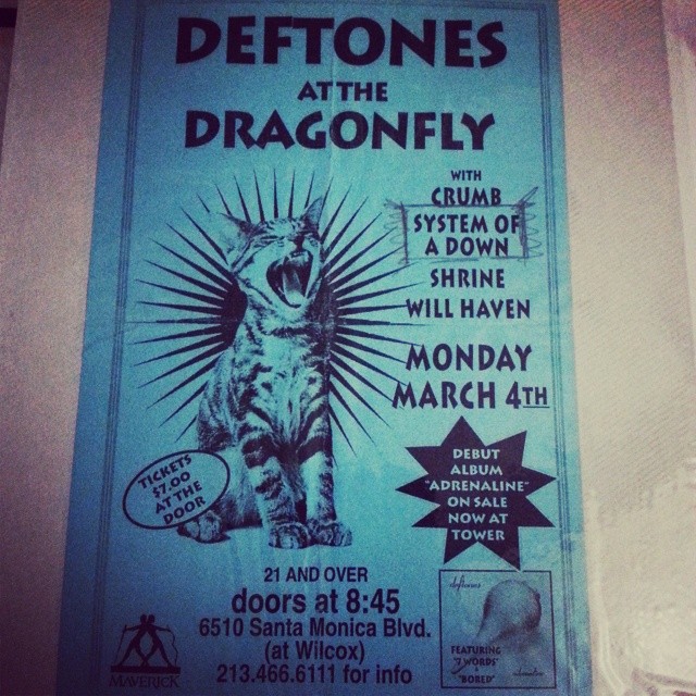 Victims of a Down - Your System of a Down Place